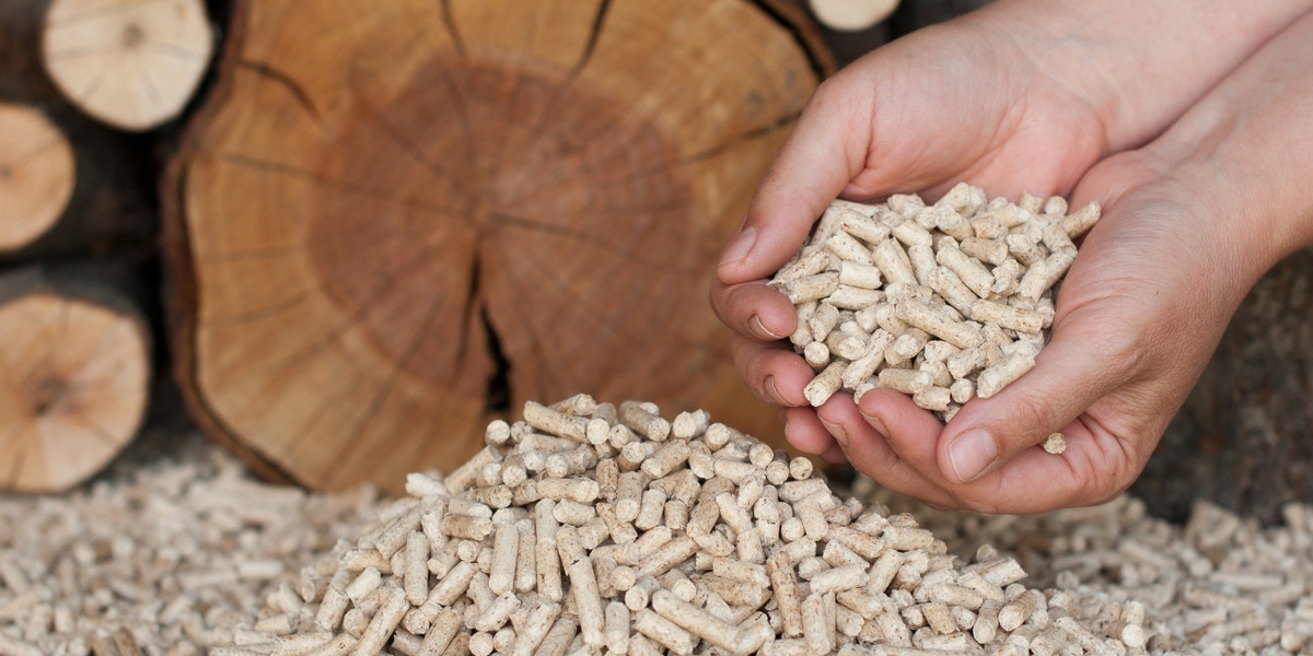 Qué es el pellet: el combustible más barato | Cadena88